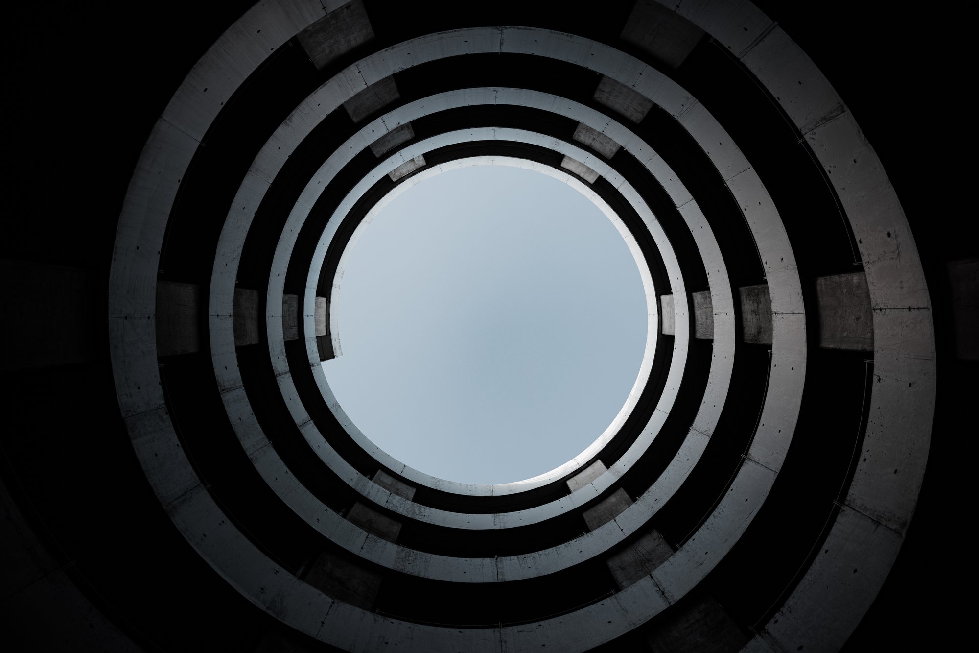 Curql Collective